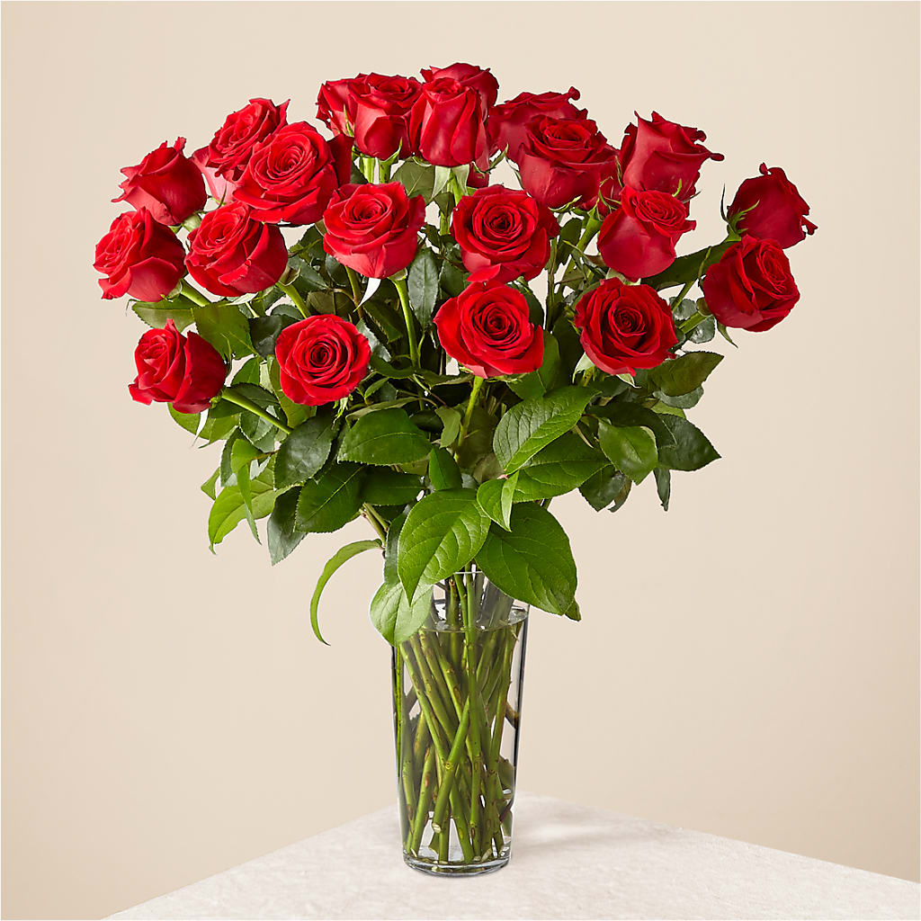 Long Stem Red Rose Bouquet–Flowers by Bauer's & Greenhouse